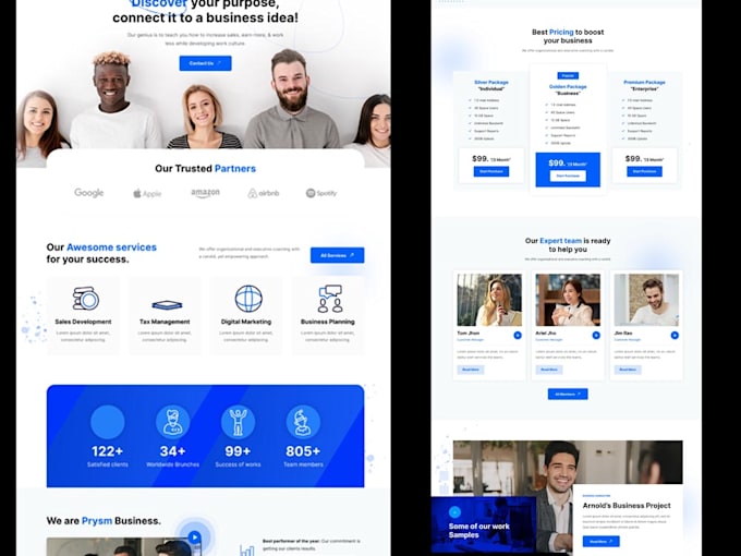 Build high quality, professional attractive responsive wordpress website design by Manibaaba ...