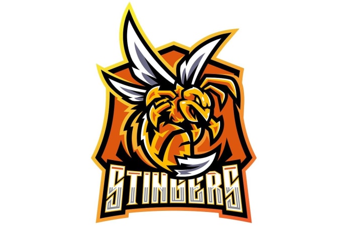 Design high quality sports bee logo with unlimited revision by Chasity ...