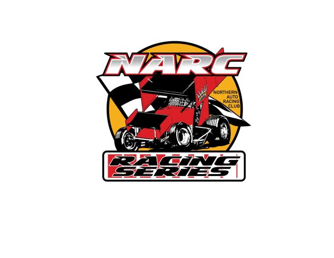 Design high quality racing sport car logo for your business with 24 ...