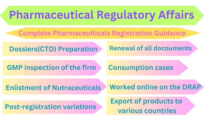 Give pharmaceutical regulatory affairs services ctd other documentation ...