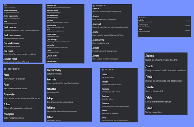 Professional Discord Bot Development And Custom Bot With Dashboard By Didulasa0001 Fiverr