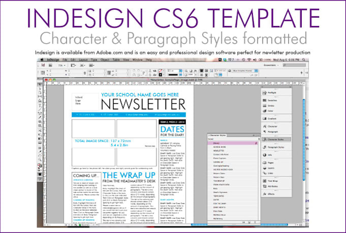 Customise a newsletter template in indesign by Mishydee | Fiverr
