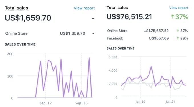 Build your professional dropshipping shopify store by Yaz_art1 | Fiverr Build your professional dropshipping shopify store by Yaz_art1 | Fiverr