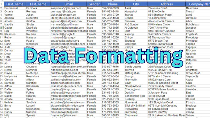 Clean Format Organize Merge Scrub And Sort Excel Or Csv Data By