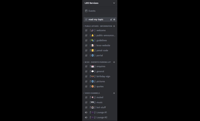 Create a discord for you with custom roles by Sebastian_v05 | Fiverr