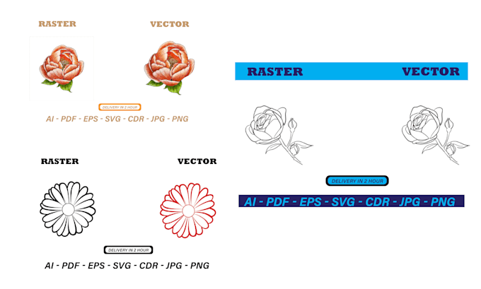 Vector tracing, redraw vectorize image, convert logo to vector, raster to vector by Ayeshaali999 ...