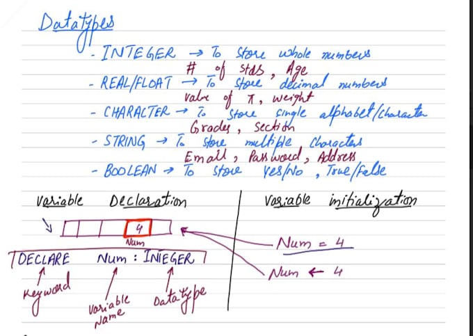 Teach You O Level Pseudocode By Gamingwanderer Fiverr