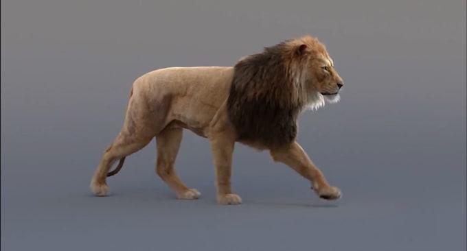 Render photorealistic 3d animation, 3d animal model, 3d animal design ...