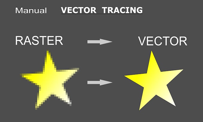 Vector trace raster to vector, convert to vector by Vravindra | Fiverr
