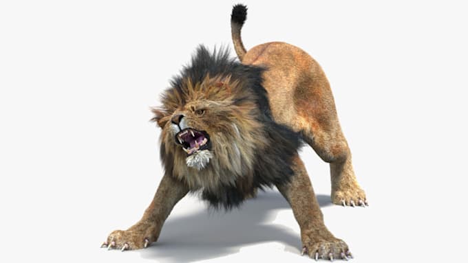 Create realistic 3d animal model, animal character design,animal ...