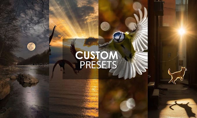 Create a custom lightroom preset pack for you to resell by ...