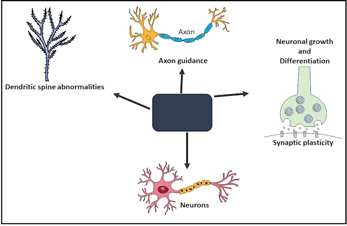 Design biological scientific illustrations, figures,abstract by ...