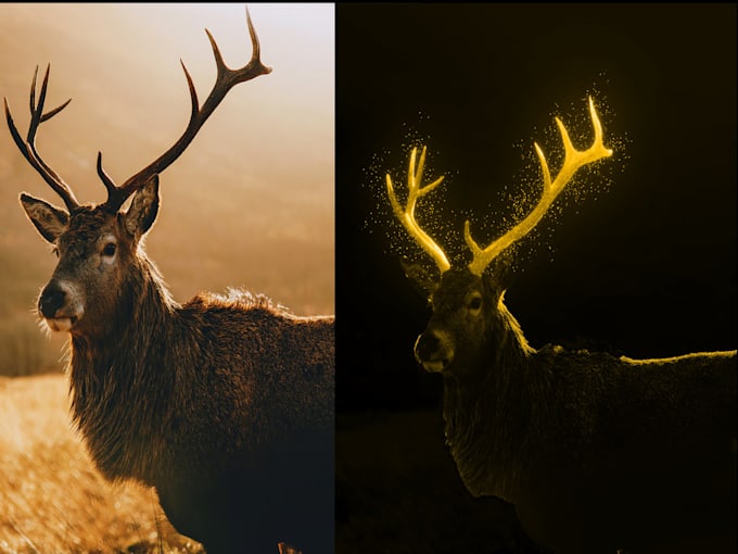 Do Professional Lighting Effect Photo Editing High Quality By Maheshfiverr Fiverr