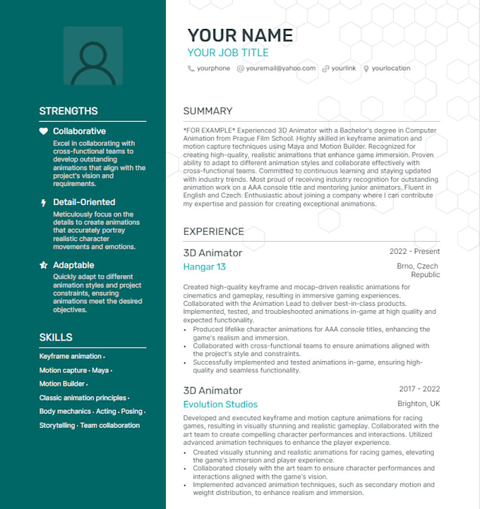 Write high quality resume that opens doors to your success by ...