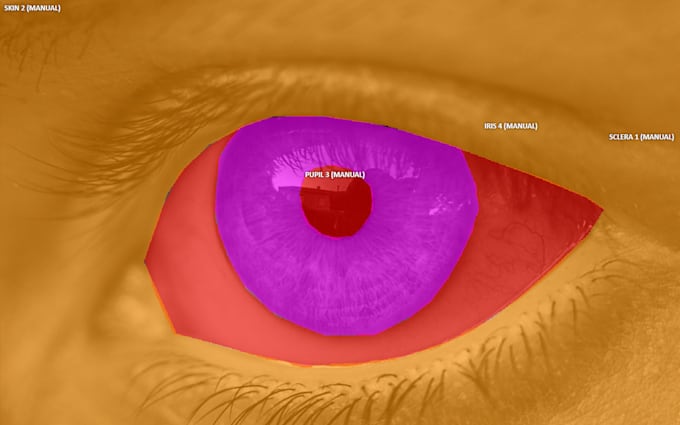 Do Image Annotation Bounding Box And Segmentation For Your Model By Shohanmh Fiverr