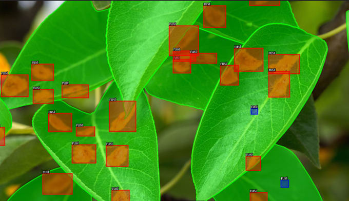 Do Image Annotation And Data Labeling For Ai By Shankaronshadya Fiverr
