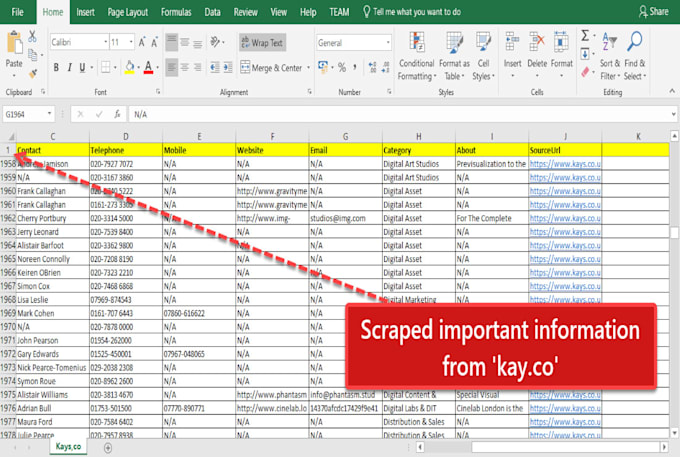 Do Python Web Scraping For Data Extraction And Collection With Scripted