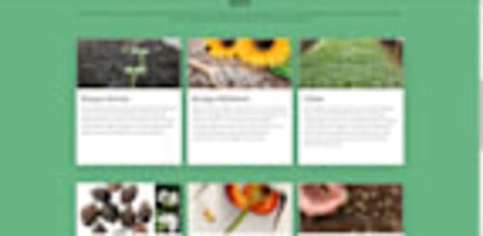 Make efficient and clean code website by Arasans | Fiverr