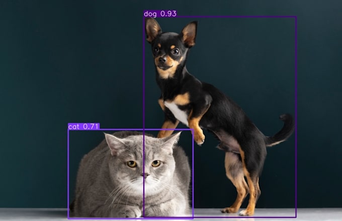Do Image Classification And Object Detection Using Yolo By Suraj Airi