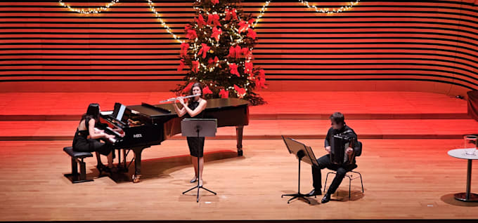 Teach you how to play the flute traverse by Flutistrydomini | Fiverr