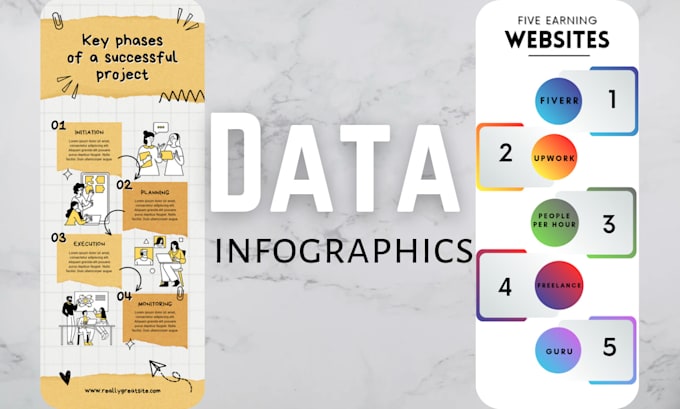 Make creative data visualisation infographics in 12 hrs by Rumii18 | Fiverr