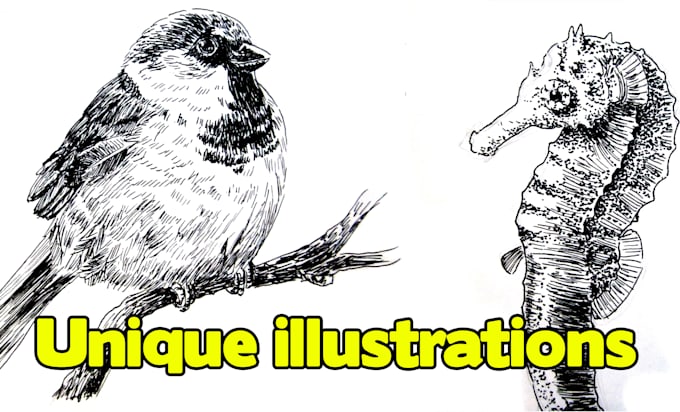 Draw fantasy pen and ink illustrations by Pattymag | Fiverr