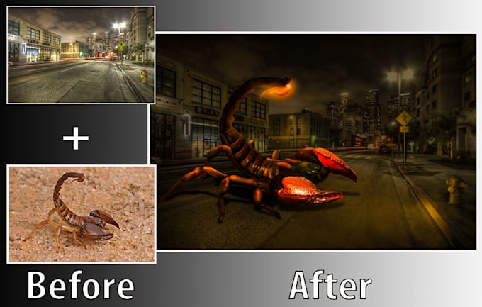 Do photoshop editing photo manipulation image composition by Dileepamadus135 | Fiverr