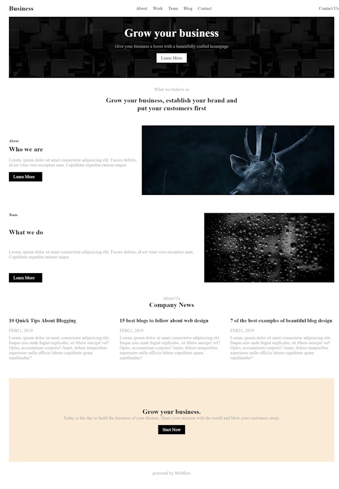 Create a website in html, css and javascript by Dari_olulana | Fiverr