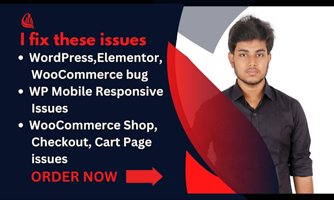 Fix errors, redesign, or make any wordpress website responsive by Kajol ...