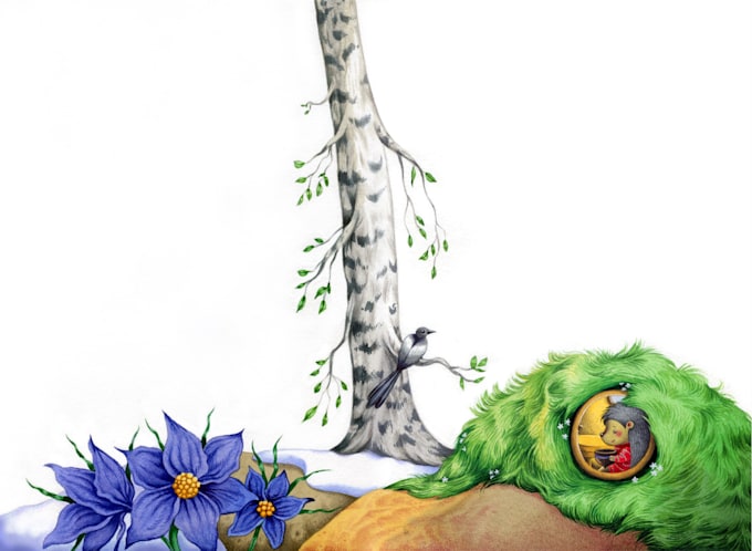 Draw colorful covers and illustrations for your books by Skakandi | Fiverr