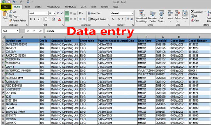 Do web research, data entry, typing, copypaste work by Hamza_datawork | Fiverr