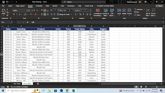 Provide data cleaning,data analysis, visualization,error fixing, macros ...