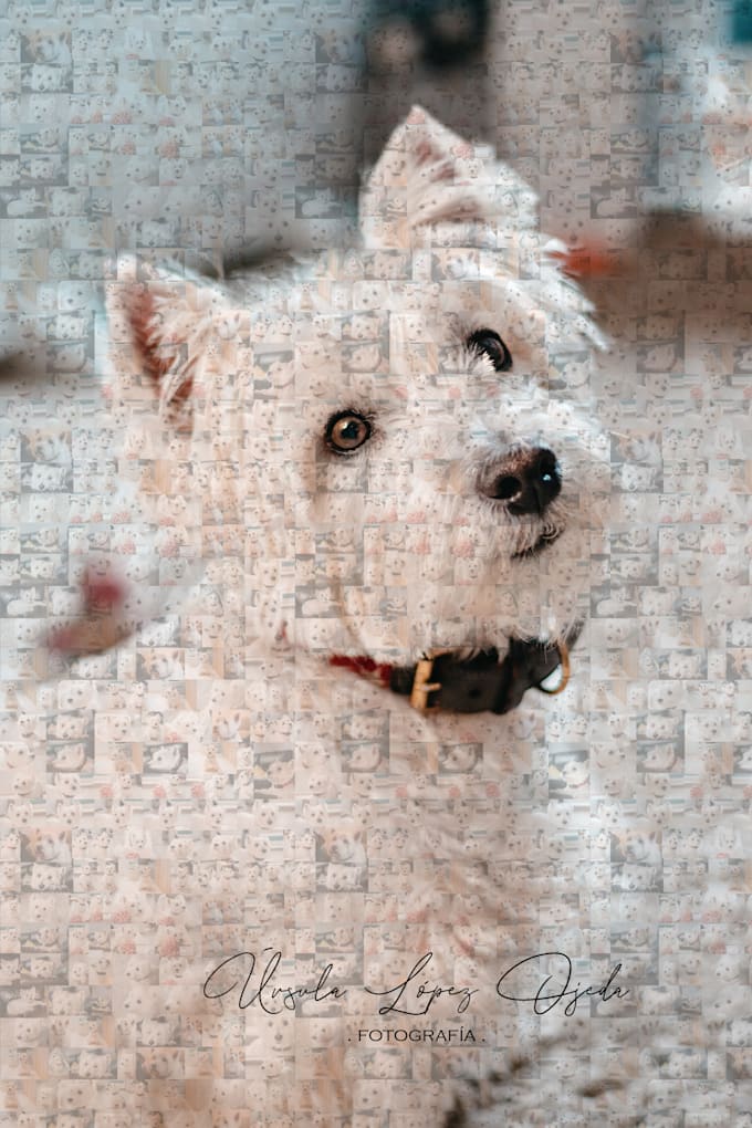 Design your image into a photo mosaic portrait as a gift by Ursula ...
