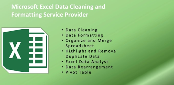 Excel data cleaning and formatting, excel data entry, convert pdf to excel by Debjit1702 | Fiverr