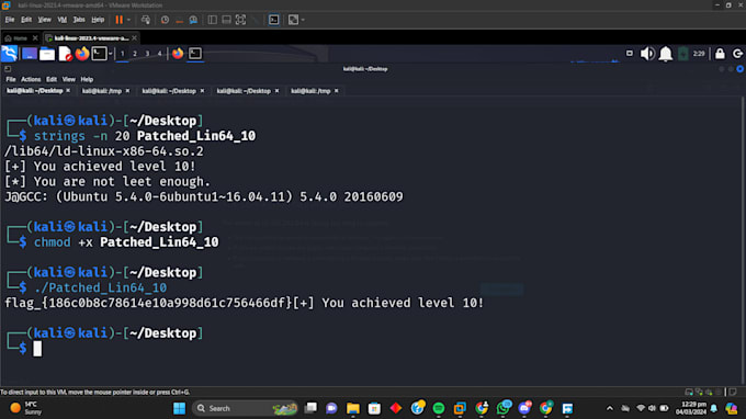 Make and solve ctf challenges for you by Hifsa_cyber | Fiverr