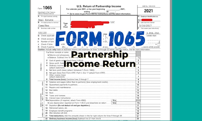 Prepare and efile partnership tax return form 1065 in 12 hours by ...