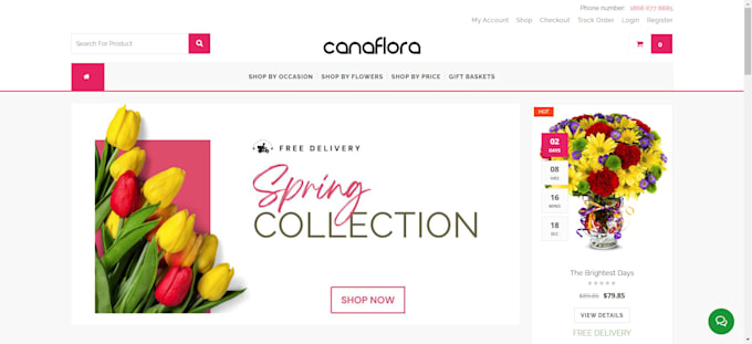 Fix wordpress issues, errors, bugs, css, provide wp help by Raindropsin | Fiverr