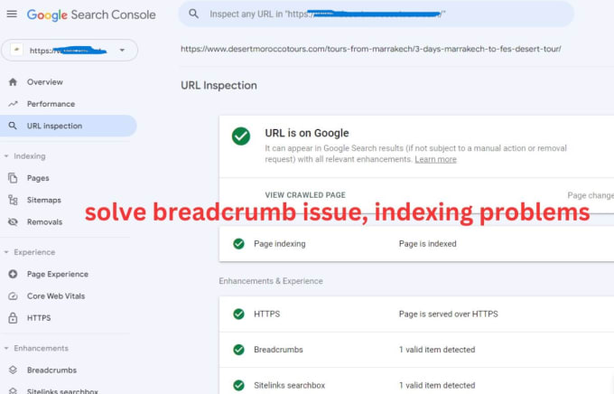 Solve breadcrumb issue, google search console errors, indexing problems ...