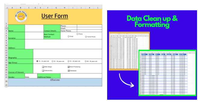 Microsoft Excel Excel Formulas Excel Macros Data Formatting And Pivot Charts By Saldesigns 