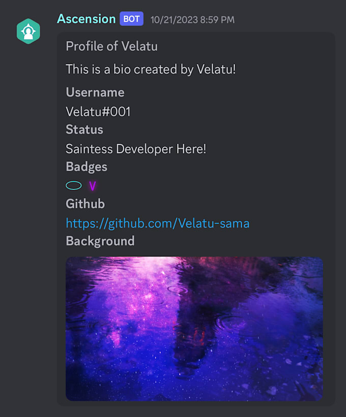 Create you a discord bot in python by Shadersoft | Fiverr