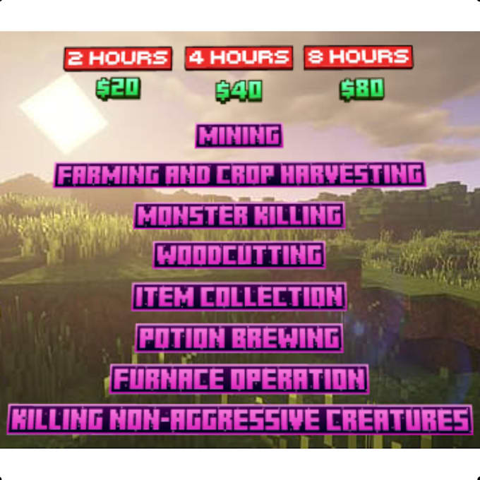 Run errands for you in minecraft java by Ryuujhin | Fiverr