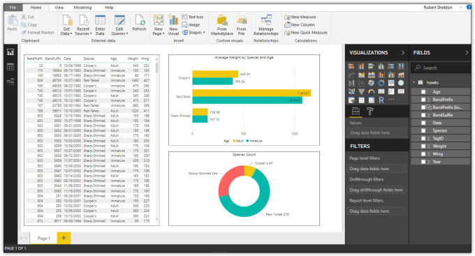 Transforming Data Into Actionable Insights By Khushi 987 Fiverr
