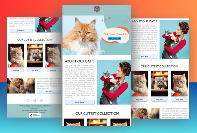 Create high value mailchimp, klaviyo email template newsletter campaign ...