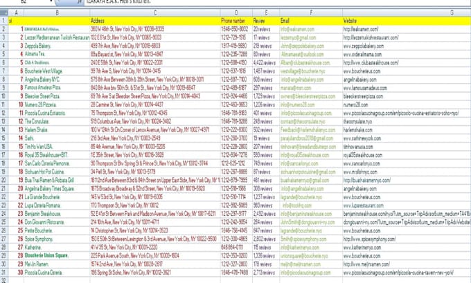 Provide accurate and structured data entry services for your project by ...
