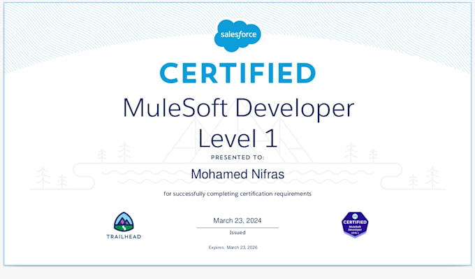 Develop mulesoft integration solutions by N_r_consulting | Fiverr