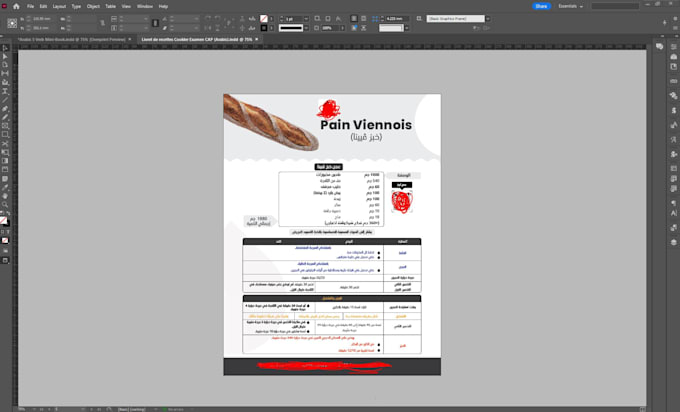 Do any adobe indesign project, book formatting, layout english, urdu or ...