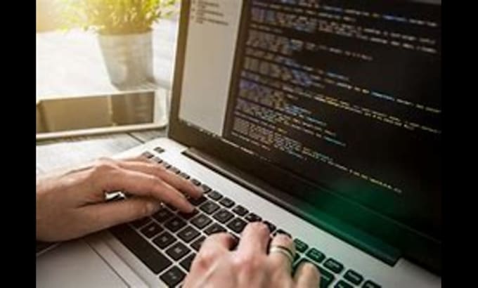 Code Python React Nodejs Html Css Javascript Shopify By Bughunter1 Fiverr