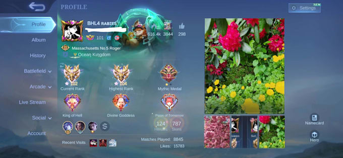 Coach you for mobile legends by Adiaphorous | Fiverr