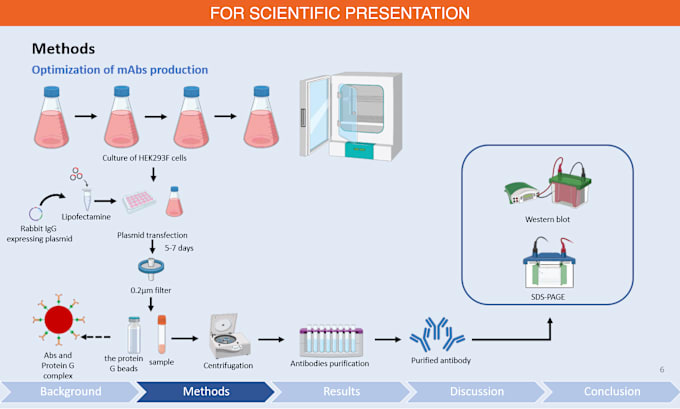 Design scientific, educational figures and illustrations, quick work by ...