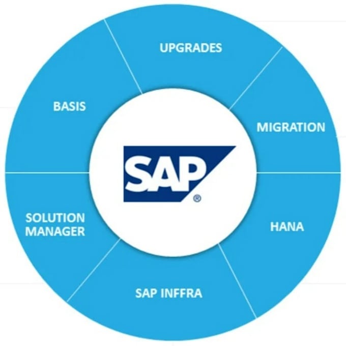Be your sap hana basis administrator by Syspertsco | Fiverr